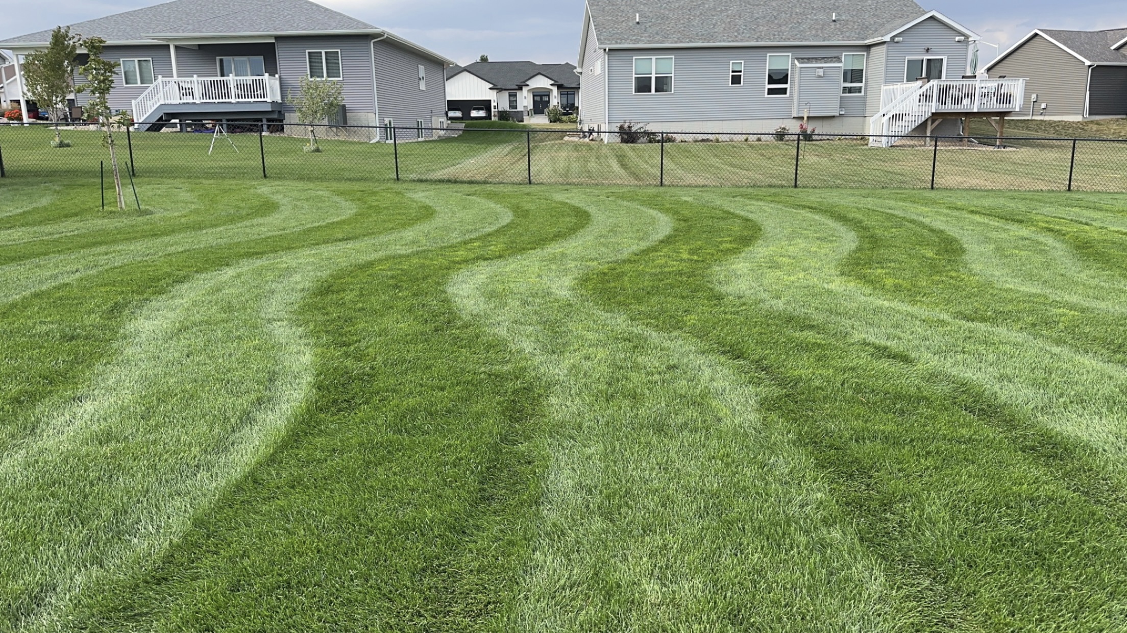 Home - Clean Cut Turf